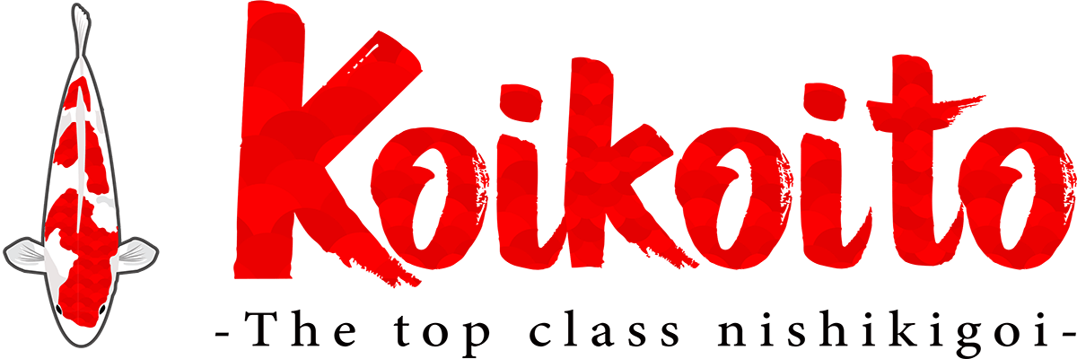 Shop - Koikoito