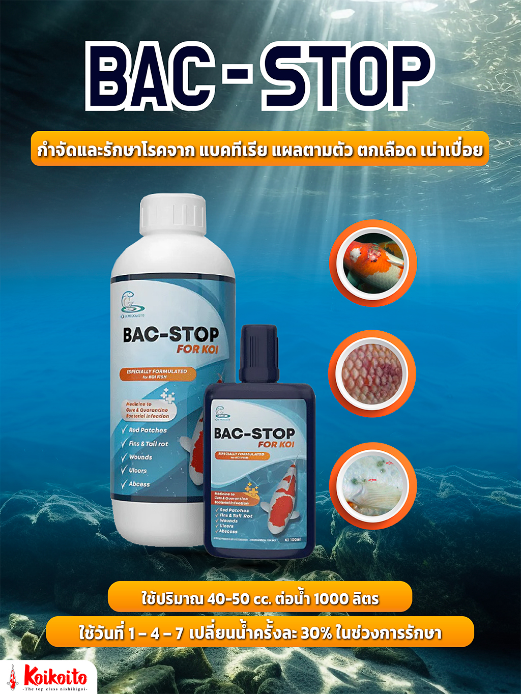 Bac Stop ป้องกันและกำจัดแบคทีเรีย เหมาะสำหรับปลาคาร์ป - Koikoito