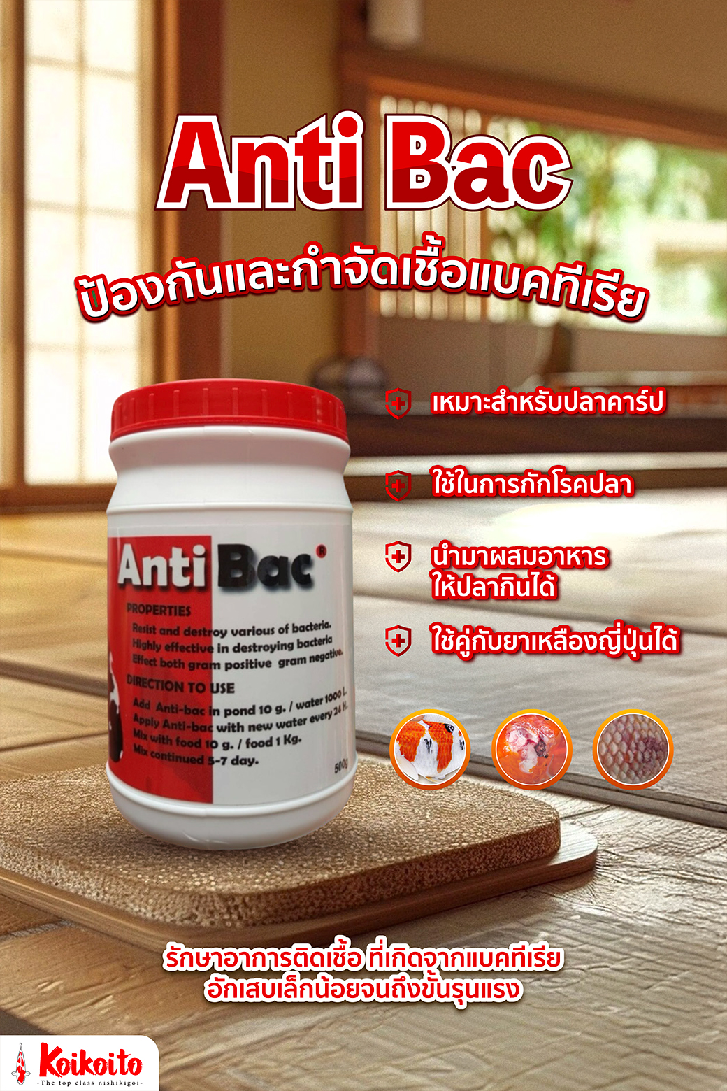 Anti Bac ป้องกัน และกำจัดเชื้อแบคทีเรีย เหมาะสำหรับปลาคาร์ป - Koikoito