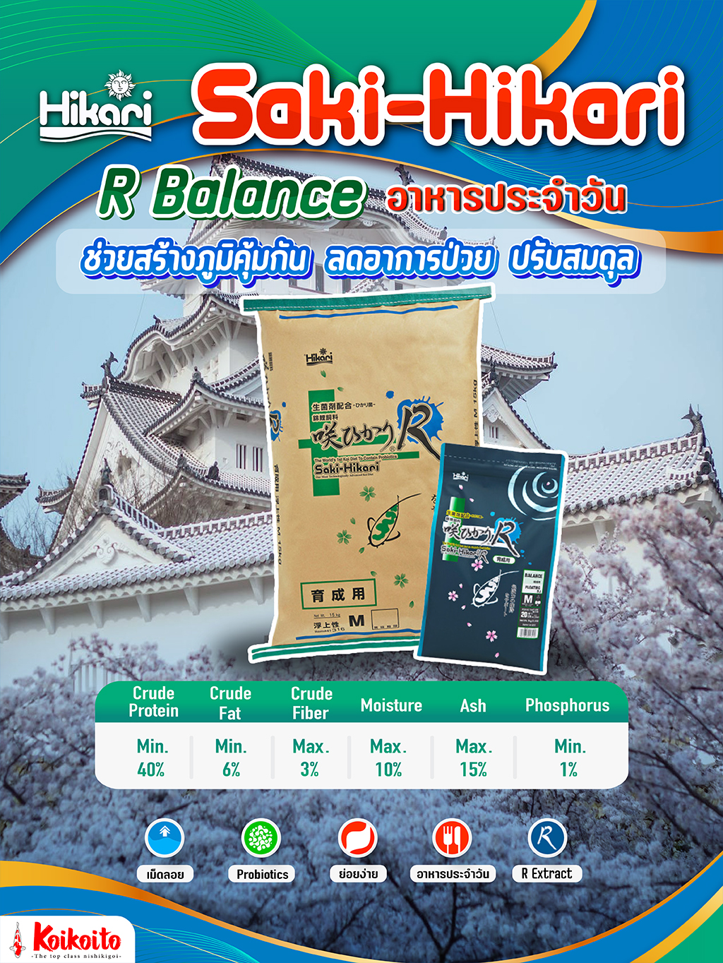Saki-Hikari R Balance - Koikoito