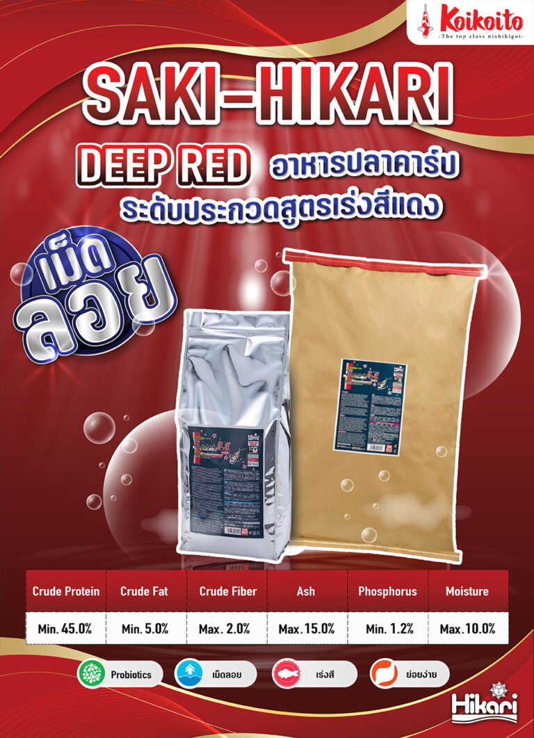 Saki-Hikari Deep Red - Koikoito
