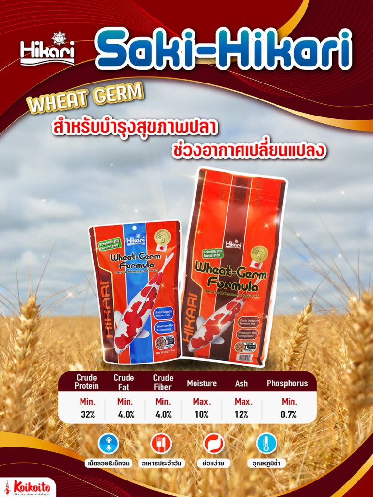อาหารปลา Saki-Hikari นำเข้าจากญี่ปุ่น คุณภาพดีที่สุด - Koikoito